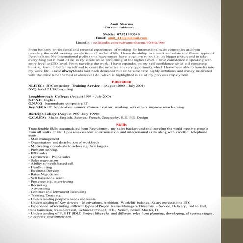 Amit Sharma cv | DOCX | Sales | Business