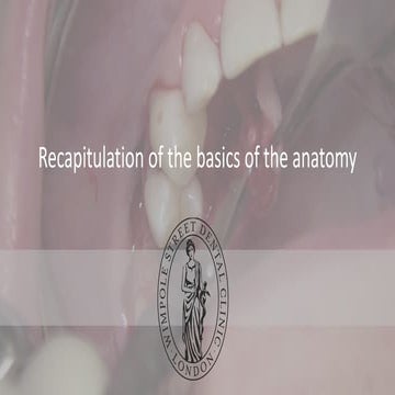 Recapitulation of the basics of the anatomy | PDF