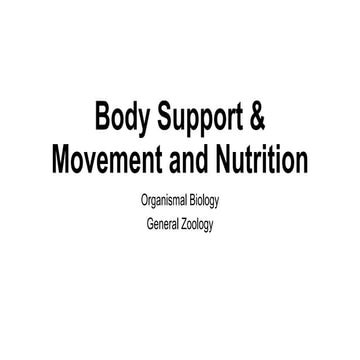 Formation of Ions | PPT