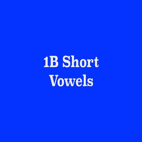 IRLA 1B Short Vowels | PDF