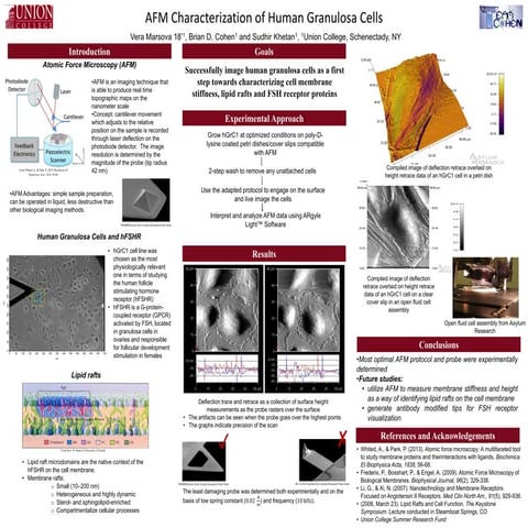 veramarsova_hGRC1_AFM_poster | PDF