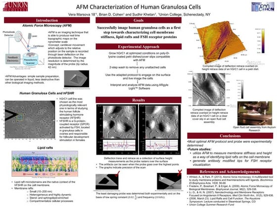 Thesis Poster (1) | PPT