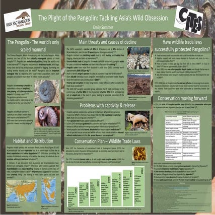 Endangered Pangolin | PPTX