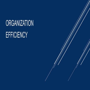 Organizational Efficiency | PPT | Business | Business and Finance