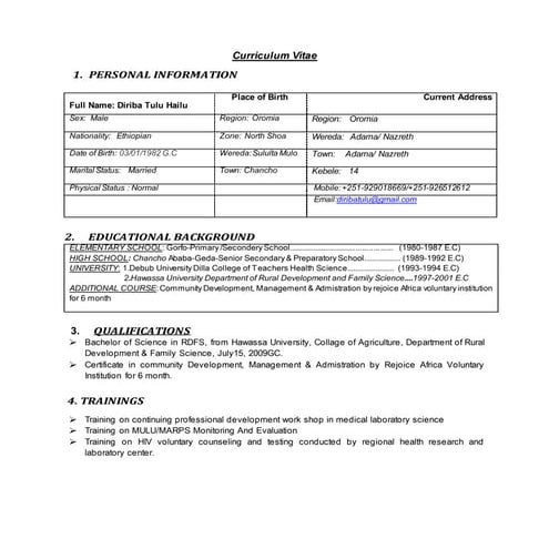 Alelign Aschale's CV | PDF