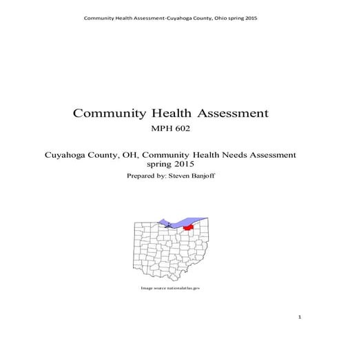 Community Health Assessment Presentation | PPTX