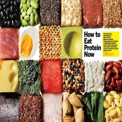 Protein | PPT