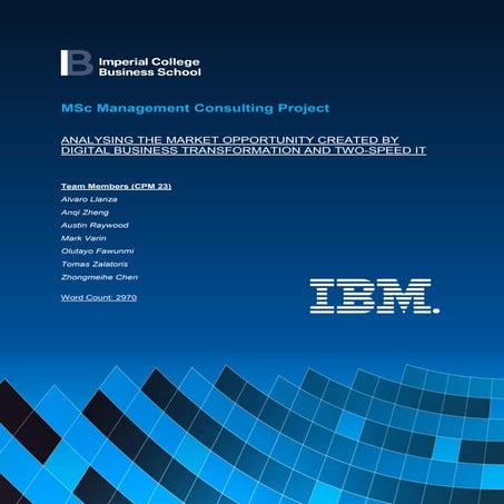 IBM Report Final | PDF