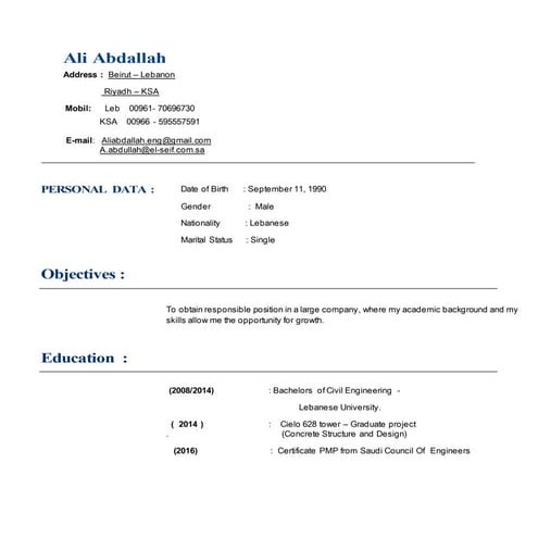 ali abdallah -cv . | PDF