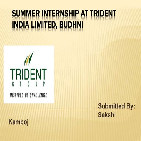 Summer Internship at Trident India Limited | PPTX