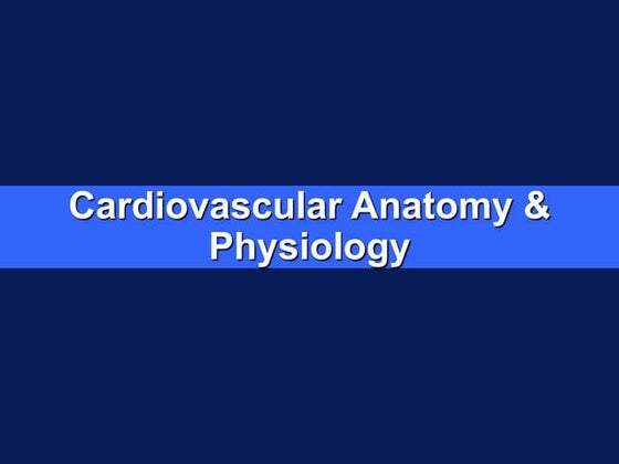 cardiovascular system.pdf