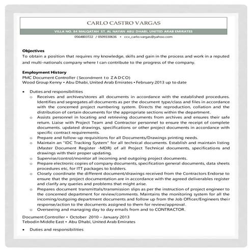 CV (Document Controller) | PDF