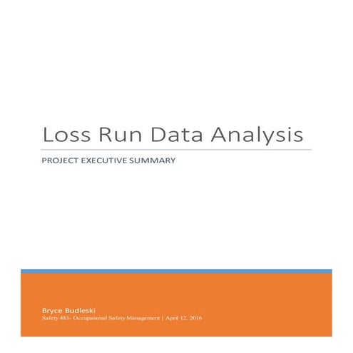 Loss Run Data Analysis-Executive Summary for Todd Loushine Safety 483 ...