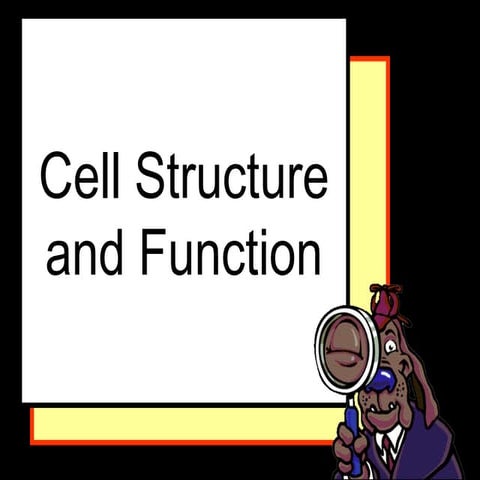 CHAPTER 2: CELL STRUCTURE | PPT