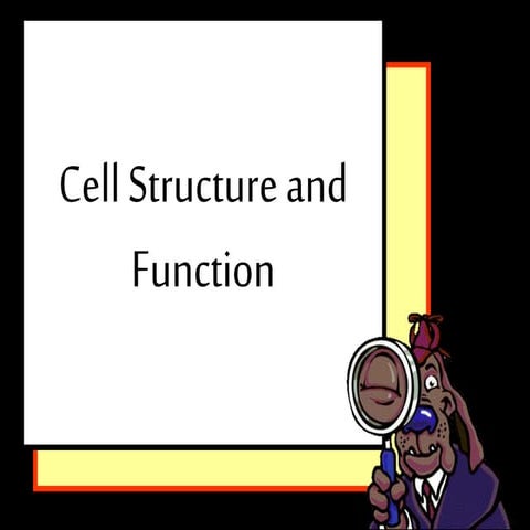 1CellStructure (1).ppt