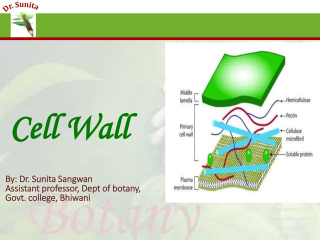 Cell wall structure and function | PPTX