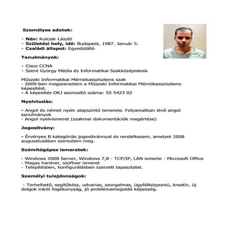KulcsarLaszlo_CV_HUN | PDF