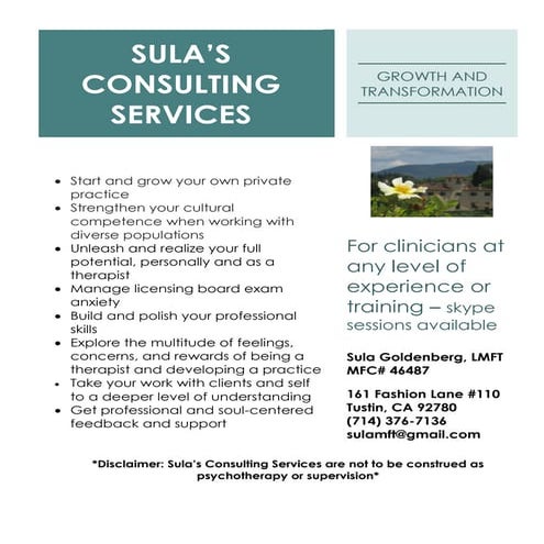 Sula's consulting business | PDF