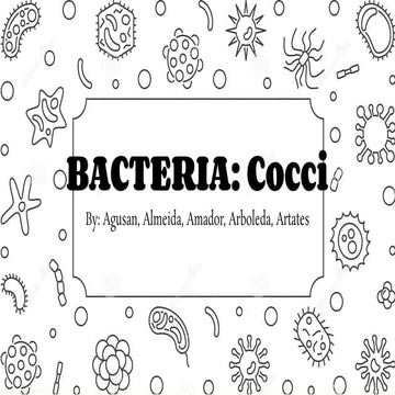 Cocci Bacteria | PDF