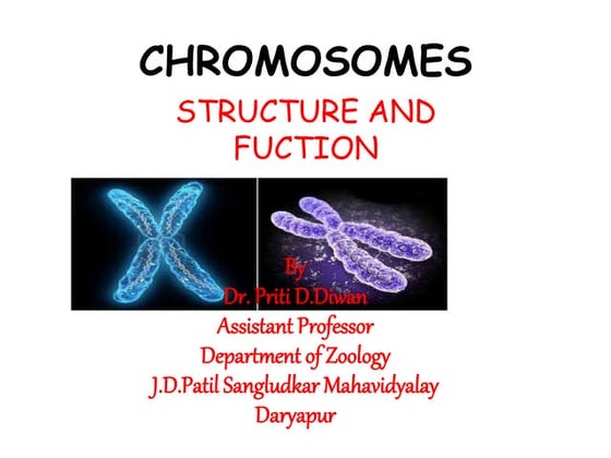 Morphology of Chromosomes | PPTX | Genetics | Science