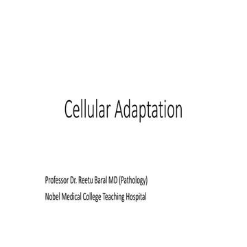 1 Class Cellular Adaptation.pptx