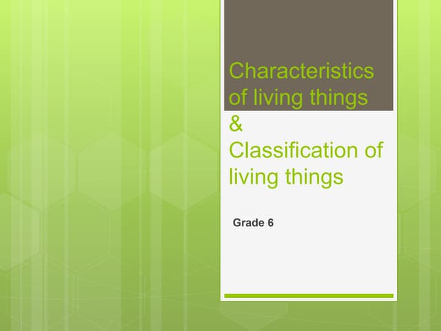 Lesson plan on classification of animals | DOC