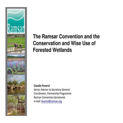 The Ramsar Convention and the Conservation and wise use of forested ...