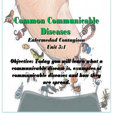 1 common communicable diseases2 | PPT