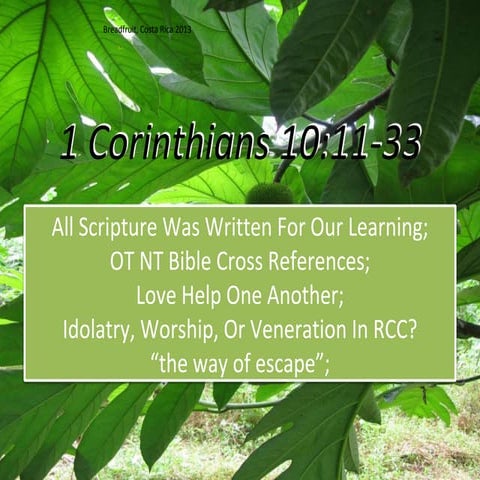 1 Corinthians 10;11-33, Scripture is example; OT NT Bible Cross References; Love Help One ...