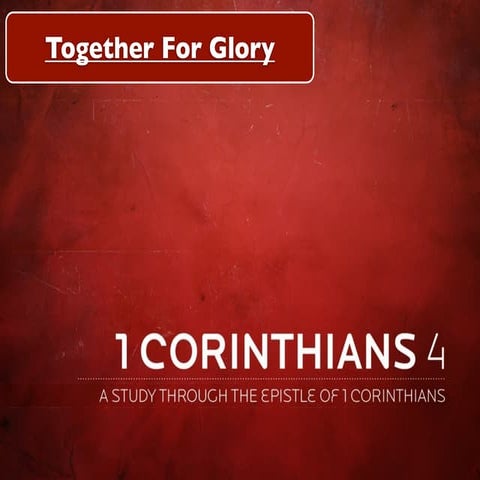 1 Corinthians 4 | ZIP