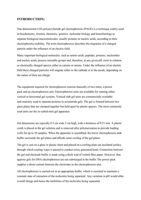 SDS PAGE (Electrophoresis) Book Notes | PDF
