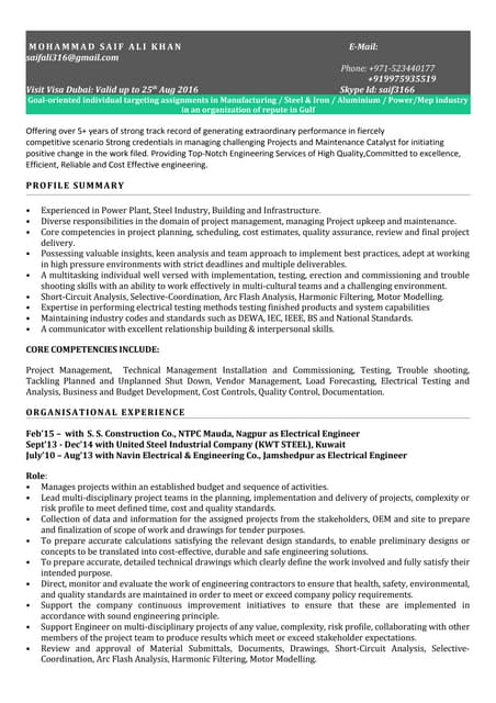 E&I inspector cv | PDF