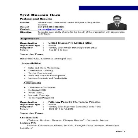 Resume of Hussain Raza updated | PDF