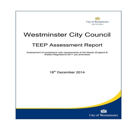 APPENDIX 1 TEEP REPORT | PDF