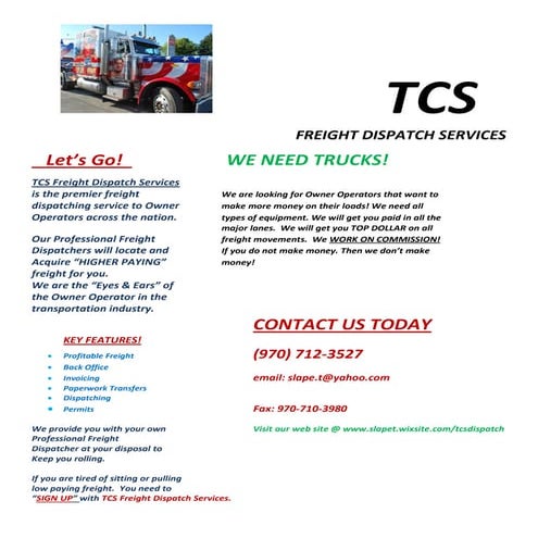 TCS Flyer copy | PDF