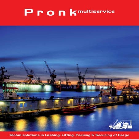 PRONK Profile-2015 | PDF