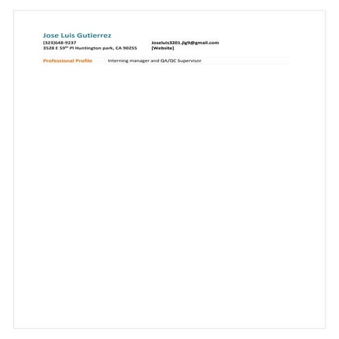 Sample CV - Copy | DOC