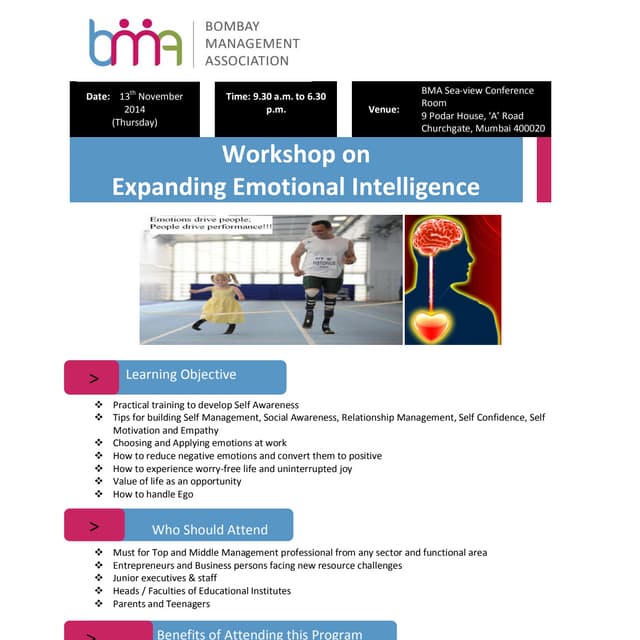 1 day workshop on Expanding Emotional Intelligence @bma 13.11.14