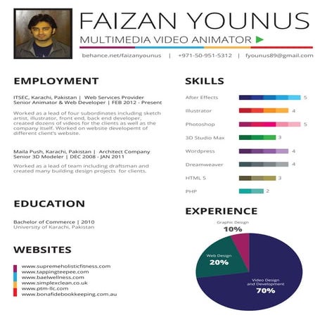 Faizan CV | PDF