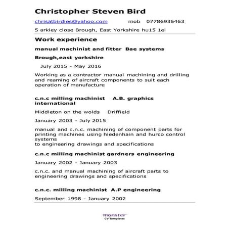 chris bird cv word document | PDF