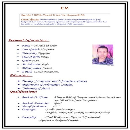 CV_Wael_Salah_AlBadry2 | PDF