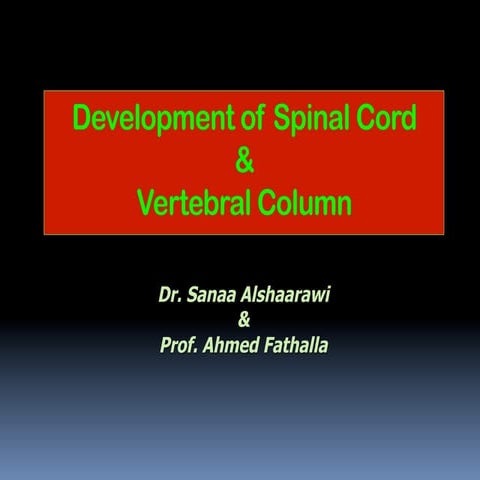 1) Development of Spinal Cord & Vertebral Col. 2017-2018.pdf