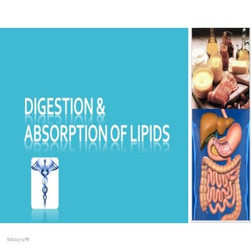 1 digestion absorption of lipid.pptx