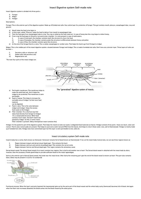 Nervous system in insects | PPTX | Brain and Nervous System Disorders ...