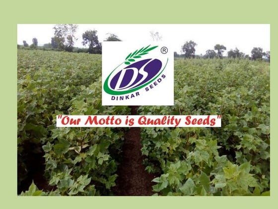 Vikas Takale Doc. (1) | PDF