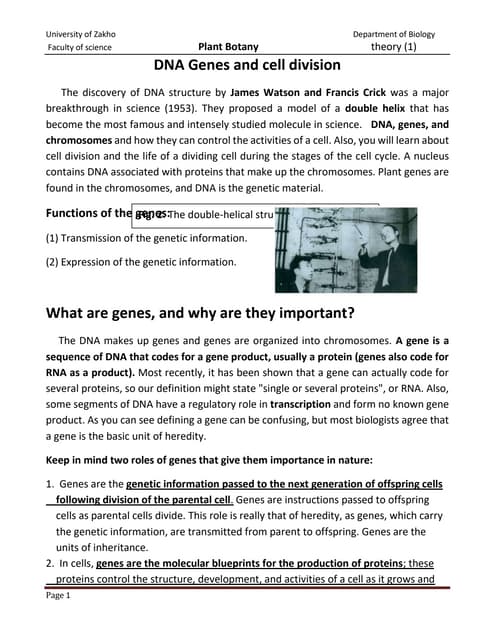 Fadellmohamd presentations