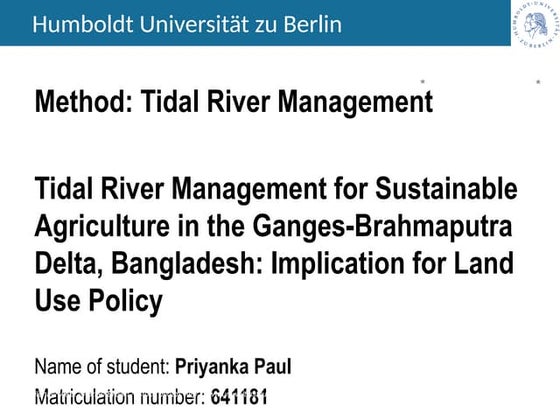 Bunding and spill management guidelines | PDF