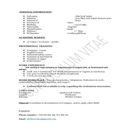 Curriculum Vitae InGles | PDF