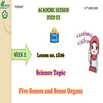 Five Senses Quiz | PDF