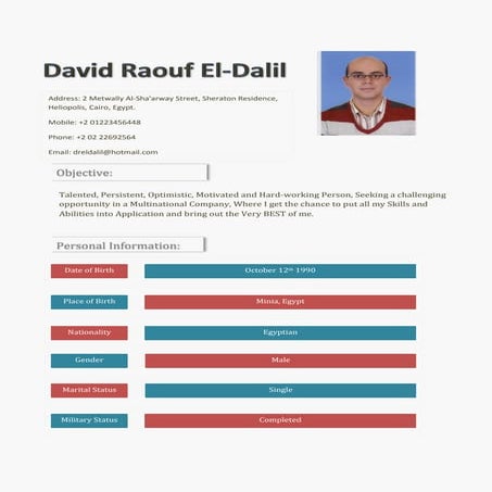 David's CV | PDF